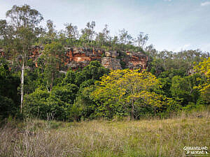 Guide to Exploring Cania Gorge National Park