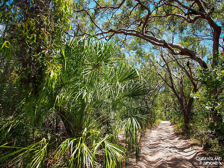 Quick Guide to Beachy Deepwater National Park