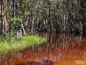 Quick Guide to Beachy Deepwater National Park