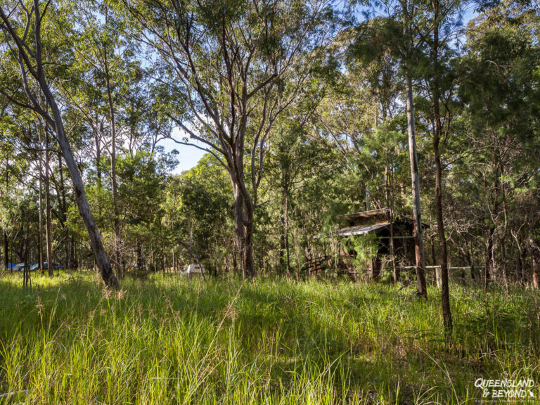 Complete Guide to Main Range National Park Camping Options [2025]