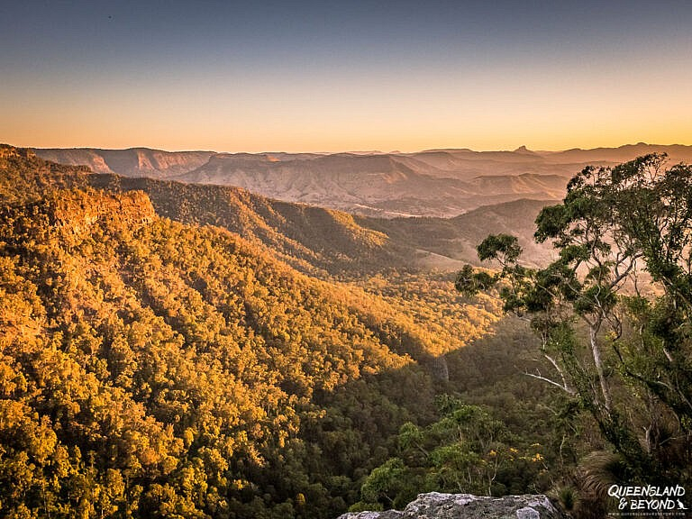 9 Best Lamington National Park Hikes [2025]