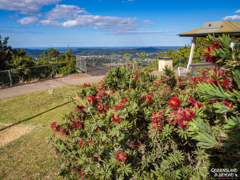 Blackall Range Scenic Drive: The Perfect Hinterland Itinerary