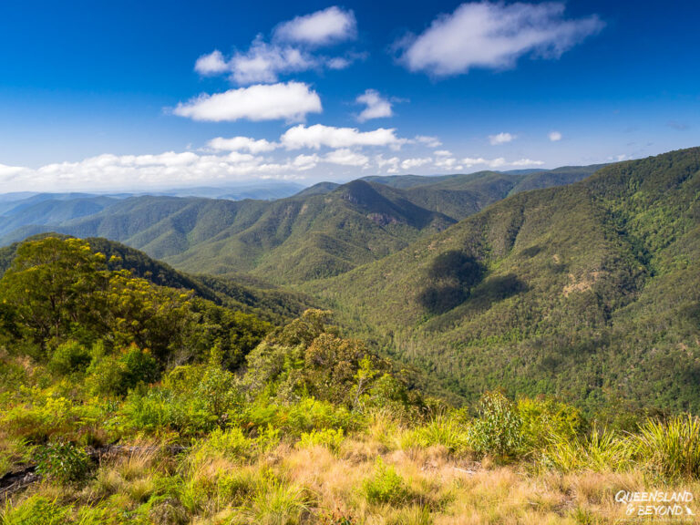 Guide to Gibraltar Range and Washpool National Parks [2025]