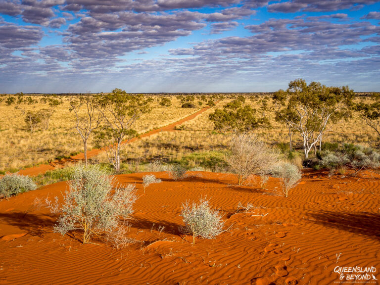 A Taste of Outback Queensland: A 10-Day Road Trip