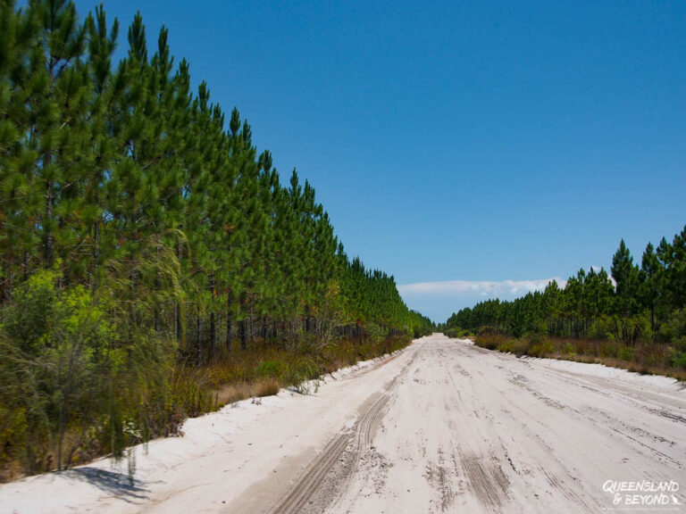 7 Great Things to Do in Bribie Island National Park