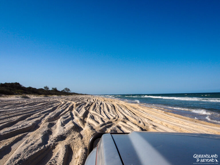 7 Great Things to Do in Bribie Island National Park