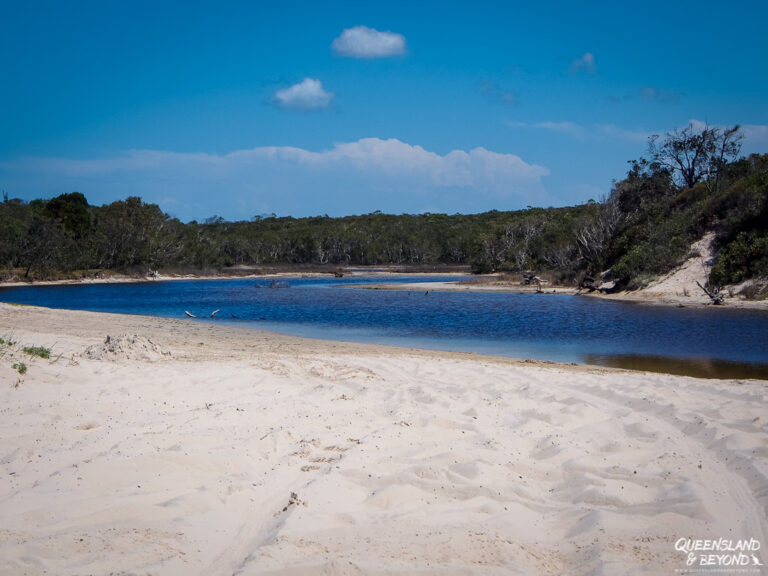 7 Great Things to Do in Bribie Island National Park