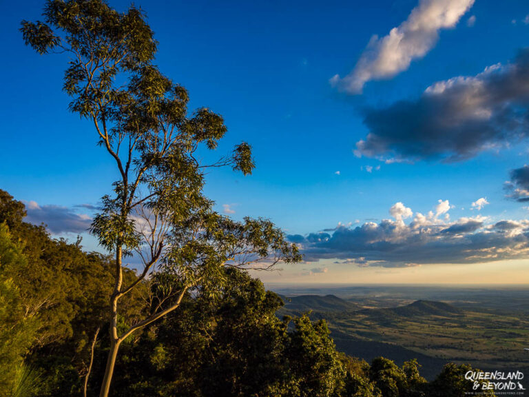 6 Fabulous Things to Do at Bunya Mountains National Park