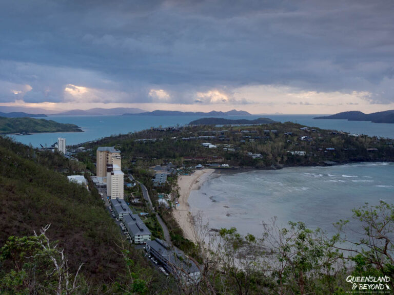 5 Best Hamilton Island Hikes: A Quick Guide