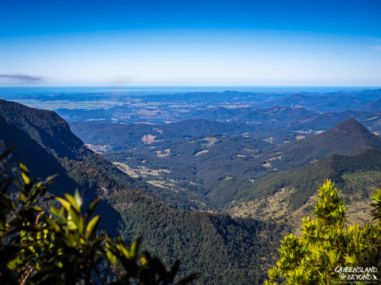9 Best Lamington National Park Hikes [2025]