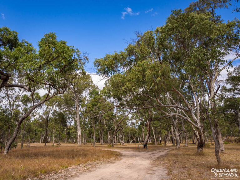 Guide to Mount Moffatt Camping (Carnarvon National Park) [2025]