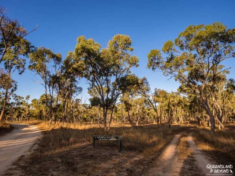 Guide to Mount Moffatt Camping (Carnarvon National Park)