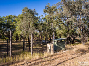 Guide to Mount Moffatt Camping (Carnarvon National Park) [2025]