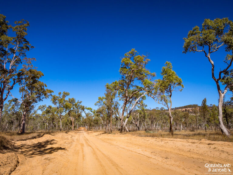 Guide to Mount Moffatt Camping (Carnarvon National Park) [2025]