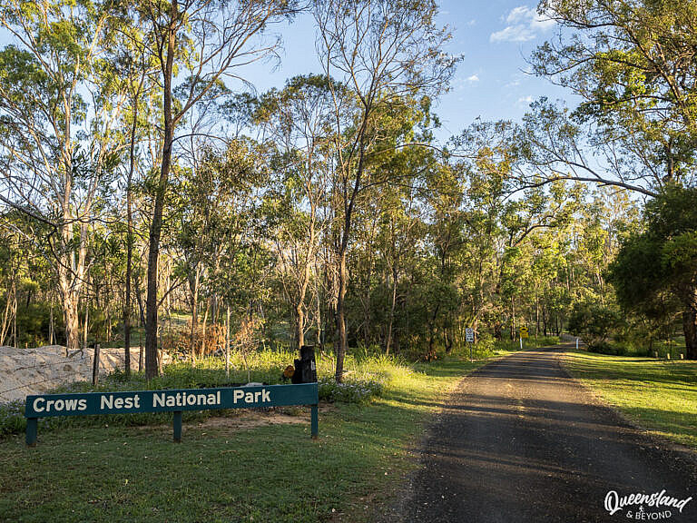 Essential Guide to Exploring Crows Nest National Park