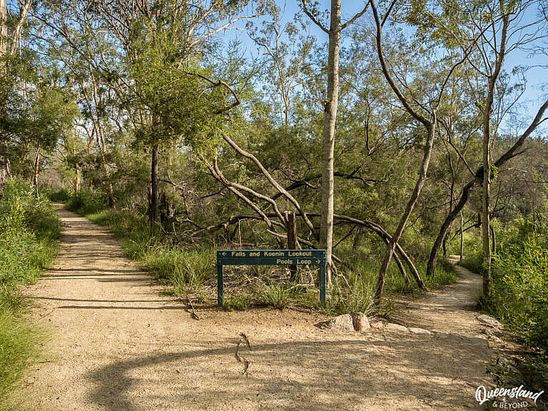 Essential Guide to Exploring Crows Nest National Park