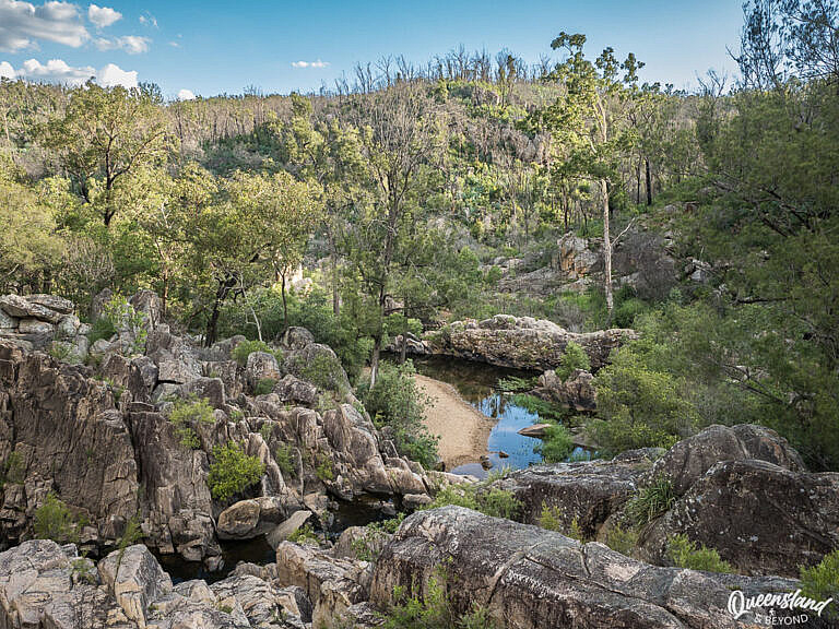 Essential Guide to Exploring Crows Nest National Park