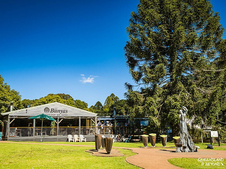 6 Fabulous Things to Do at Bunya Mountains National Park