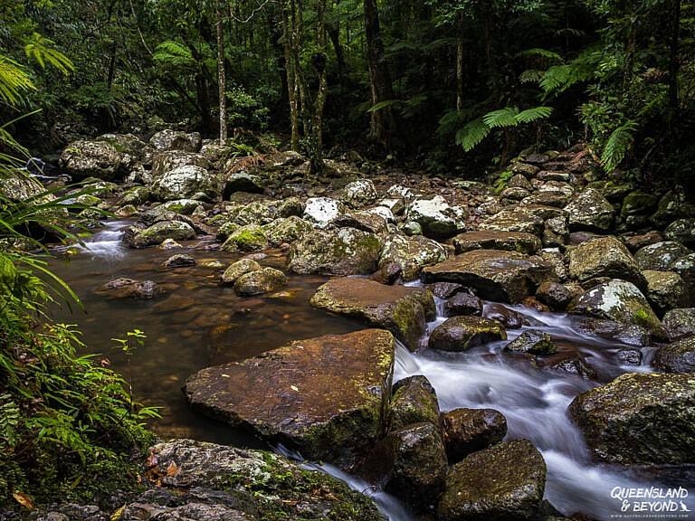 9 Best Lamington National Park Hikes [2025]