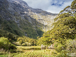 Guide to Hiking the Incredible 4-Day Milford Track Great Walk
