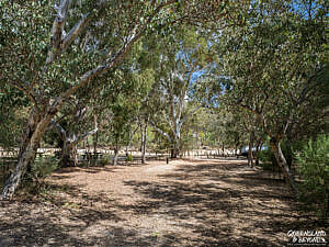 Complete Girraween National Park Camping Guide