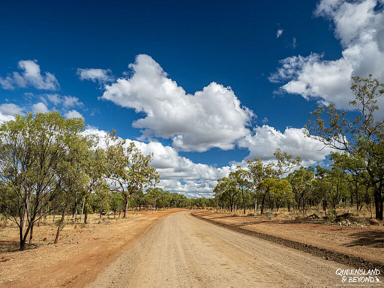 7-Day Road Trip Itinerary for Exploring the Gulf Savannah